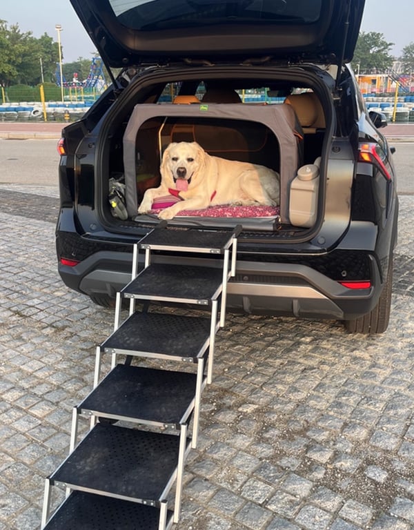 Saker Dog Ramps for Cars Landing Page