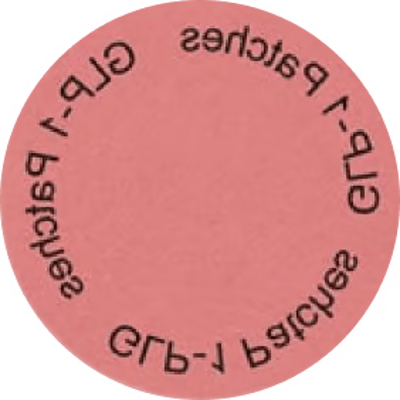 1 SET/30 Metabolic Balance Patches