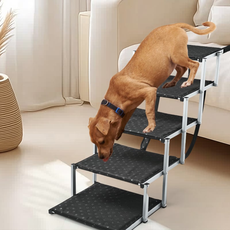 Saker Dog Ramps for Cars Landing Page